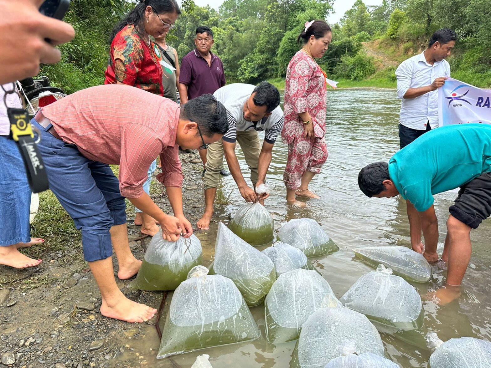River Ranching in Chandel district of Manipur – KRC TIMES